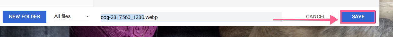 How Do I Save A Photo From The Web On My Chromebook SYS Education how-do-i-save-a-photo-from-the-web-on-my-chromebook-sys-education